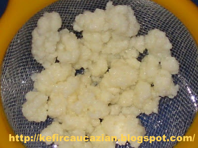 Bea kefir, dacă vrei să trăieşti mult!