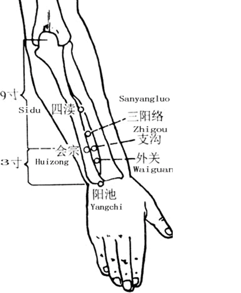 Meridian dan Titik Akupunktur : San Jiao (Triple Energizer/TE/SJ ...