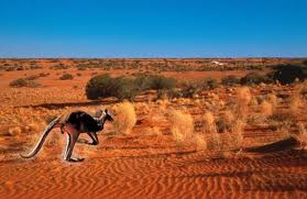 Mr Gary's EFL Classroom: SHORT STORY WORKSHEET "Australian Outback"