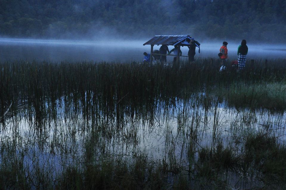 SETAPAK KECIL: Gunung Argopuro