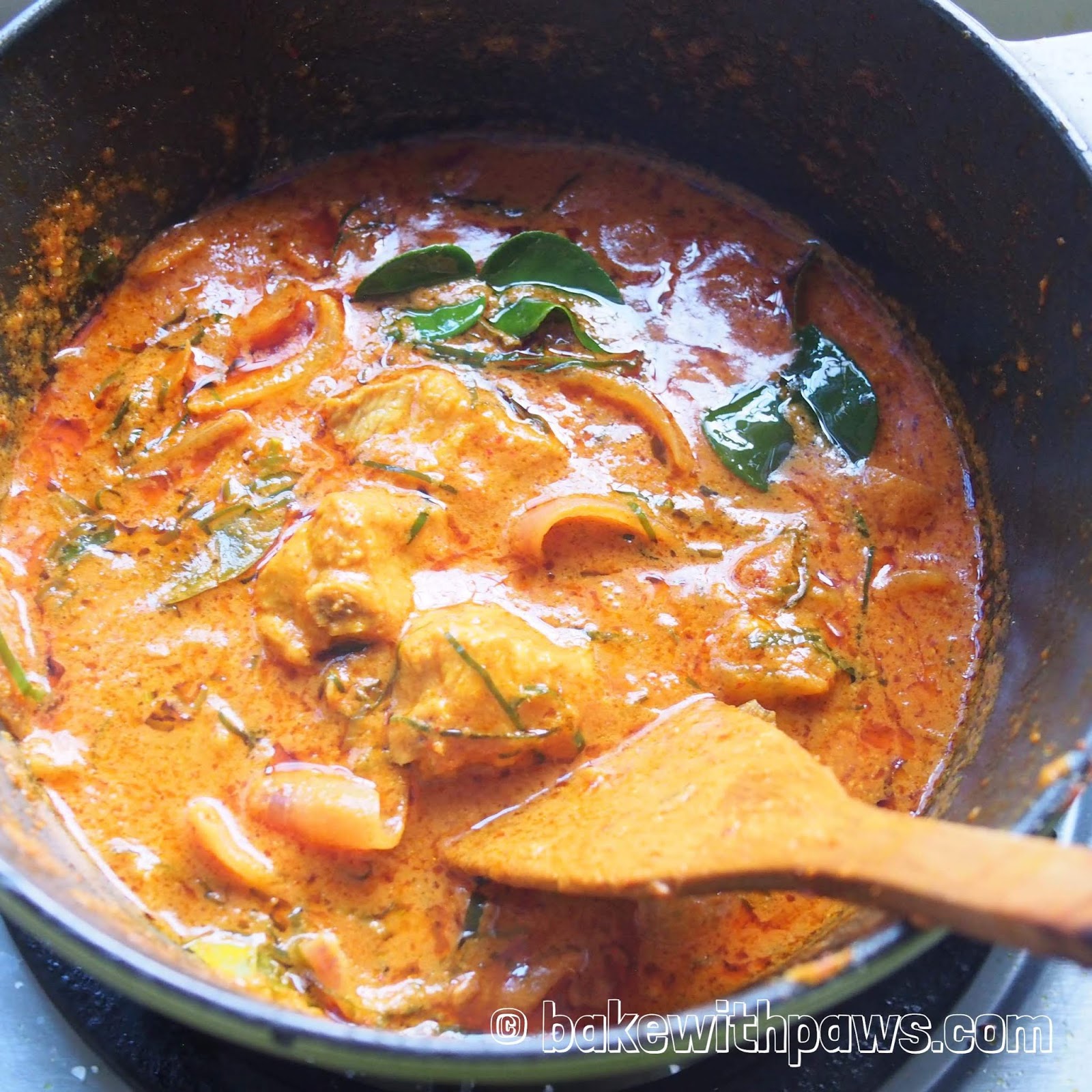 Pork Ribs Curry - BAKE WITH PAWS