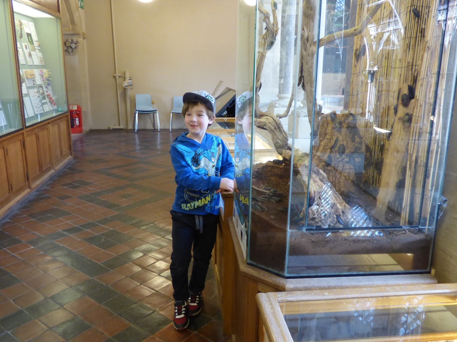 Chez Maximka: Visiting Oxford University Museum of Natural History