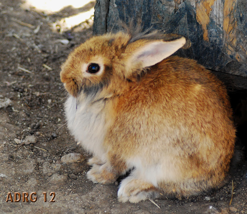 TERRITORIO APÁTRIDA: agosto 2012