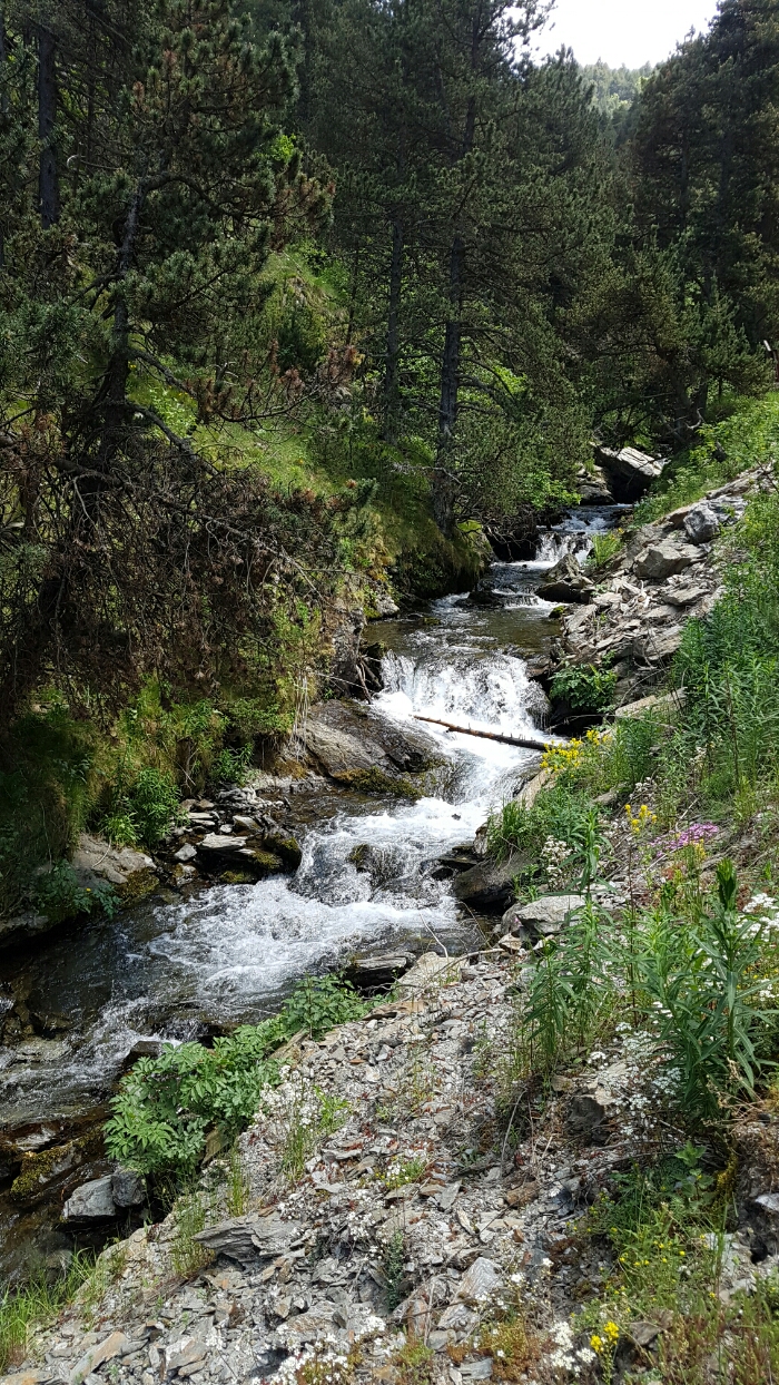 LES GORGES DEL SEGRE
