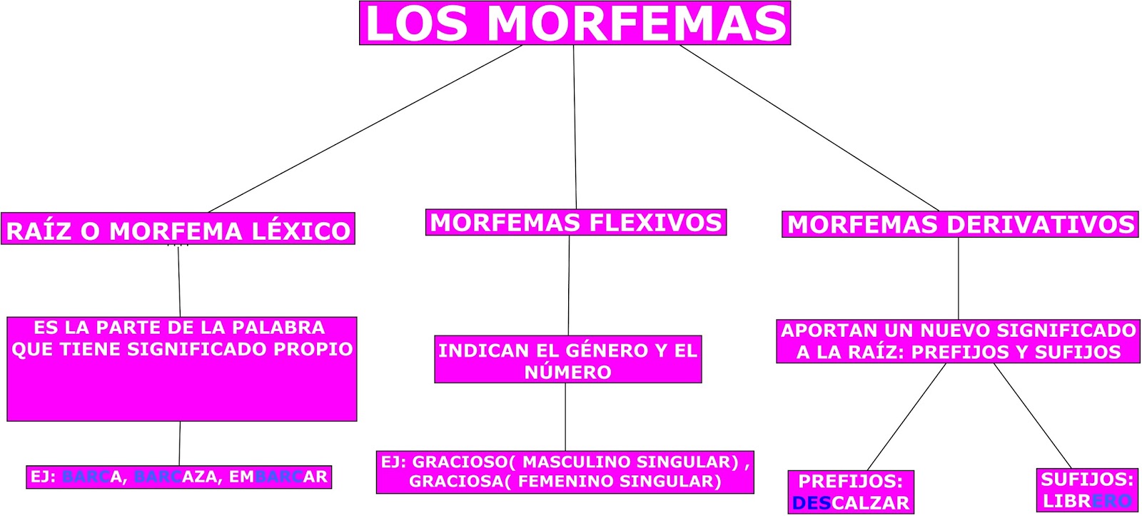L@s veintiséis mosqueter@s de 6º A: LOS MORFEMAS