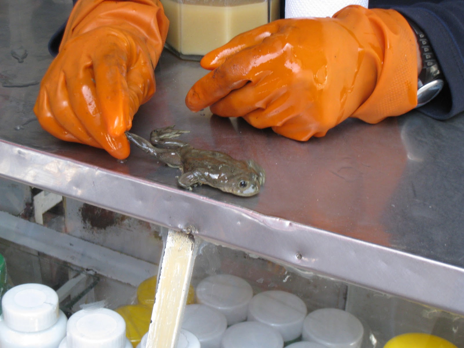 Around the world in 80 Cakes: PERU - Jugo de Rana (Poor Kermit!)