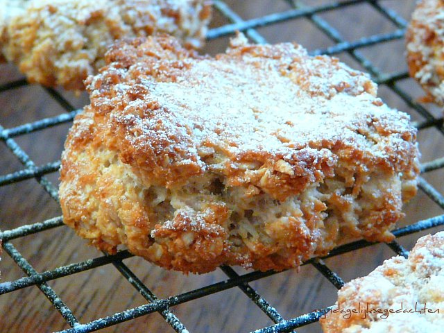mijn dagelijkse gedachten: Light exotic oat cookies