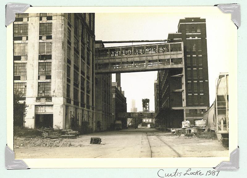 Towns and Nature: Chicago, IL: Cuneo Press
