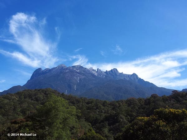 The rainforests of Borneo & Southeast Asia: Lowland forest to mossy ...