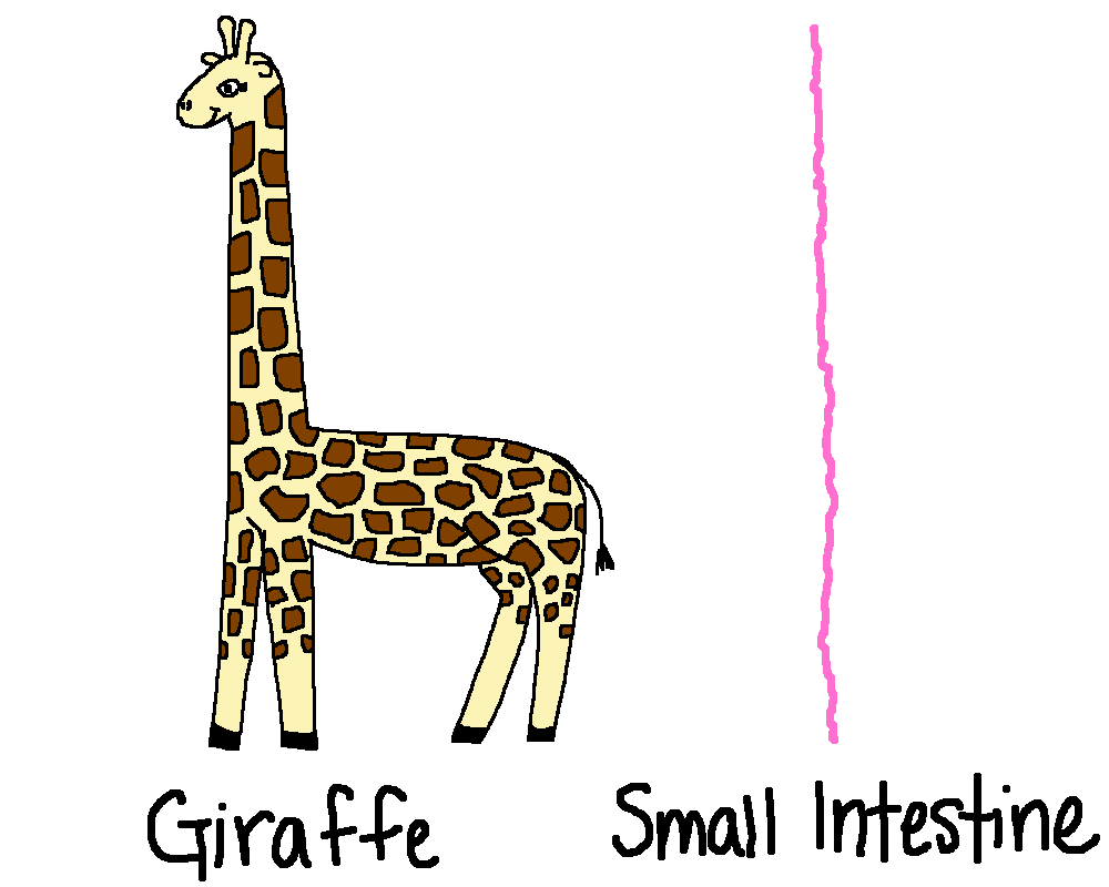 Poop. Magical, magical poop. - Beatrice the Biologist