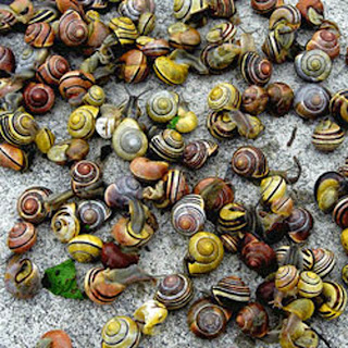 what a wonderful life...: October 2013