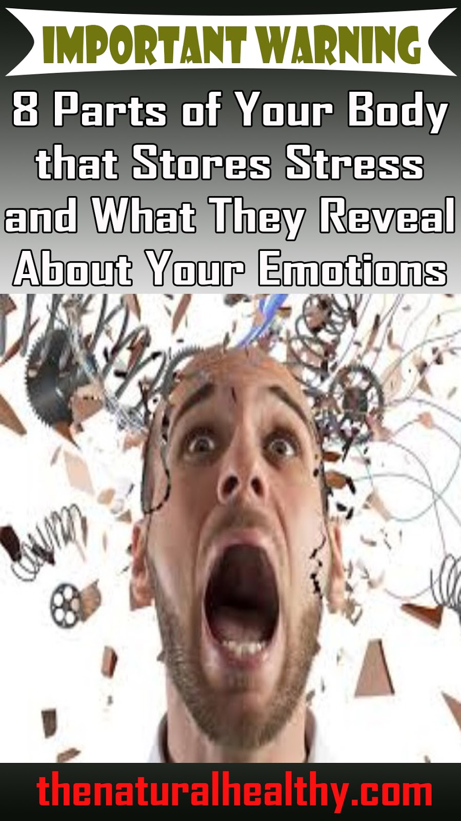 8 Parts Of Your Body That Stores Stress And What They Reveal About Your 8 Parts Of Your Body That Stores Stress And What They Reveal About Your