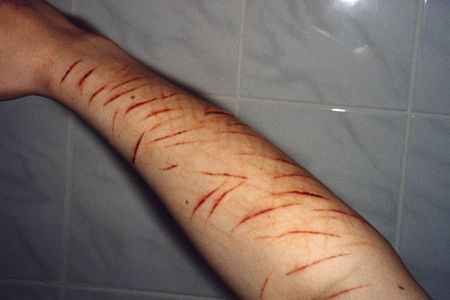 Confessions Of A Broken Heart: November 2011