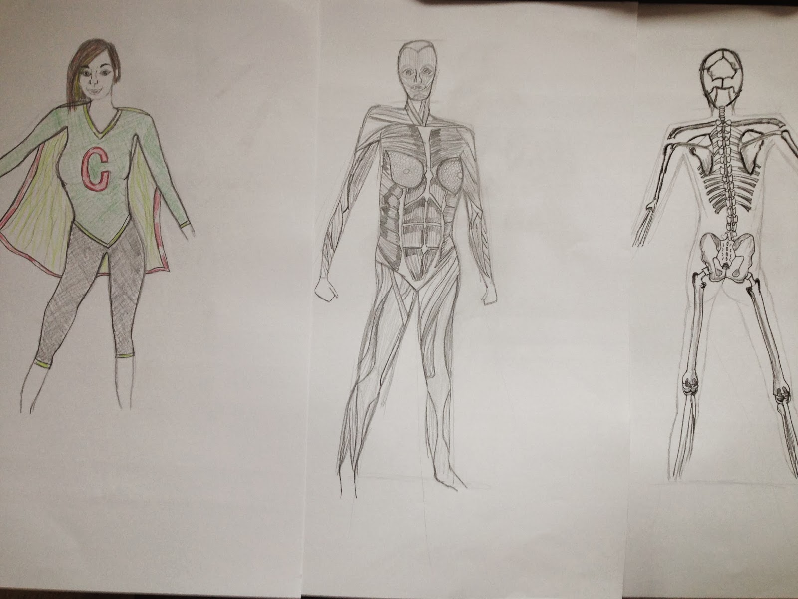 Observational Drawing