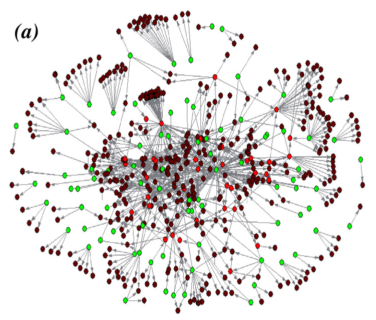 Visualizing Biological Processes: Gene Regulation Networks (GRNs): What ...