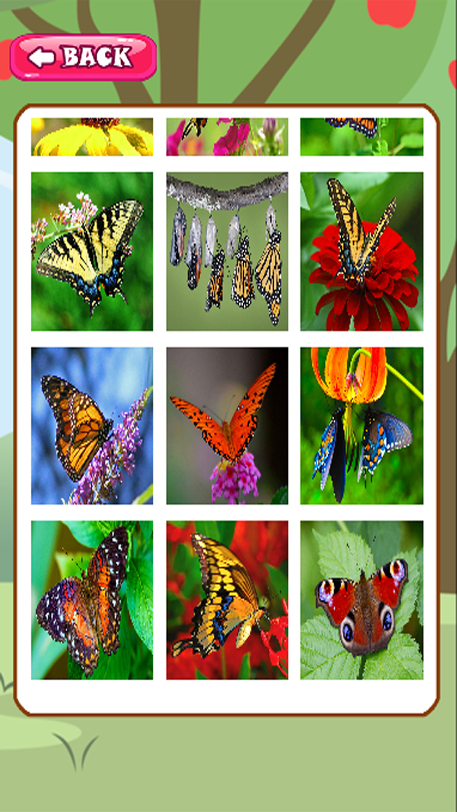 Kids Jigsaw Puzzles For Kids Butterfly Game