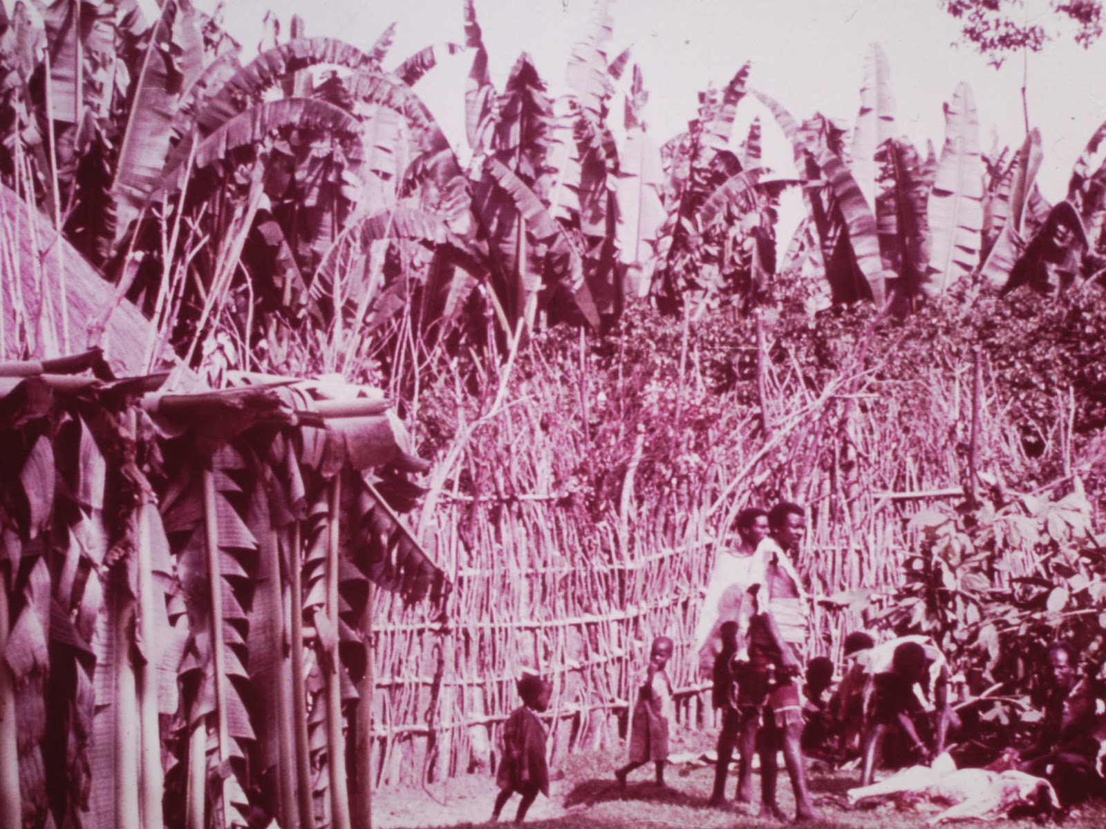 ARTE AFRICANO: LOS SIDAMO