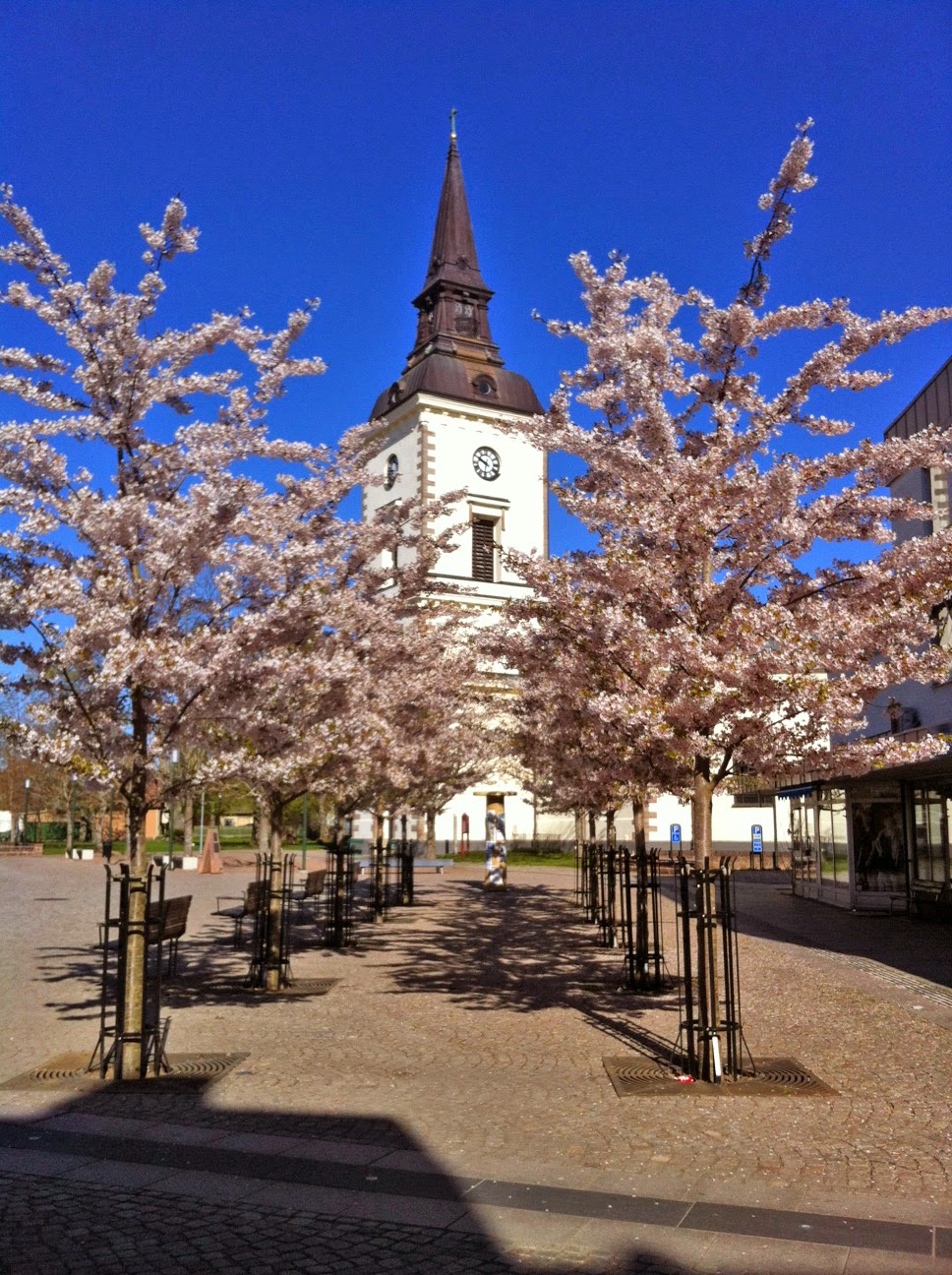 Maddix Blogg: Bommar!