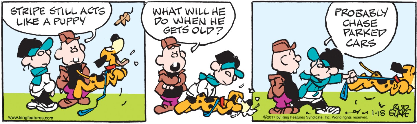 Old Comics world: Tiger Daily Strips (2017) - King features