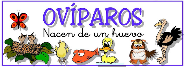 Animales que nacen del huevo nombres - Imagui