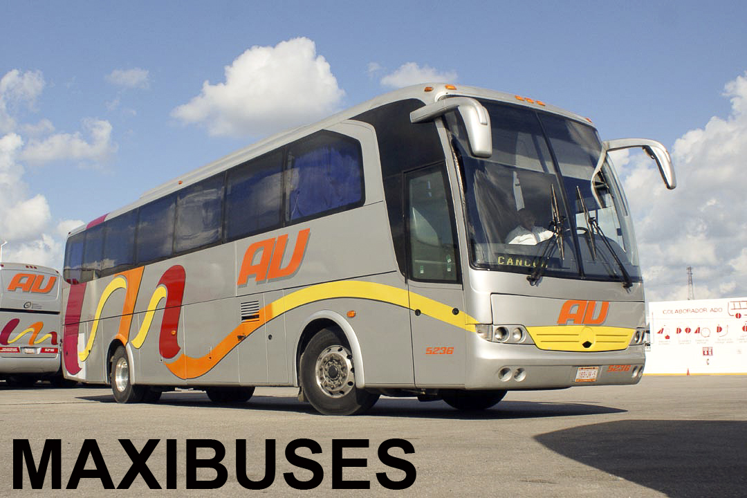 MAXIBUSES: AUTOBUSES UNIDOS (AU)
