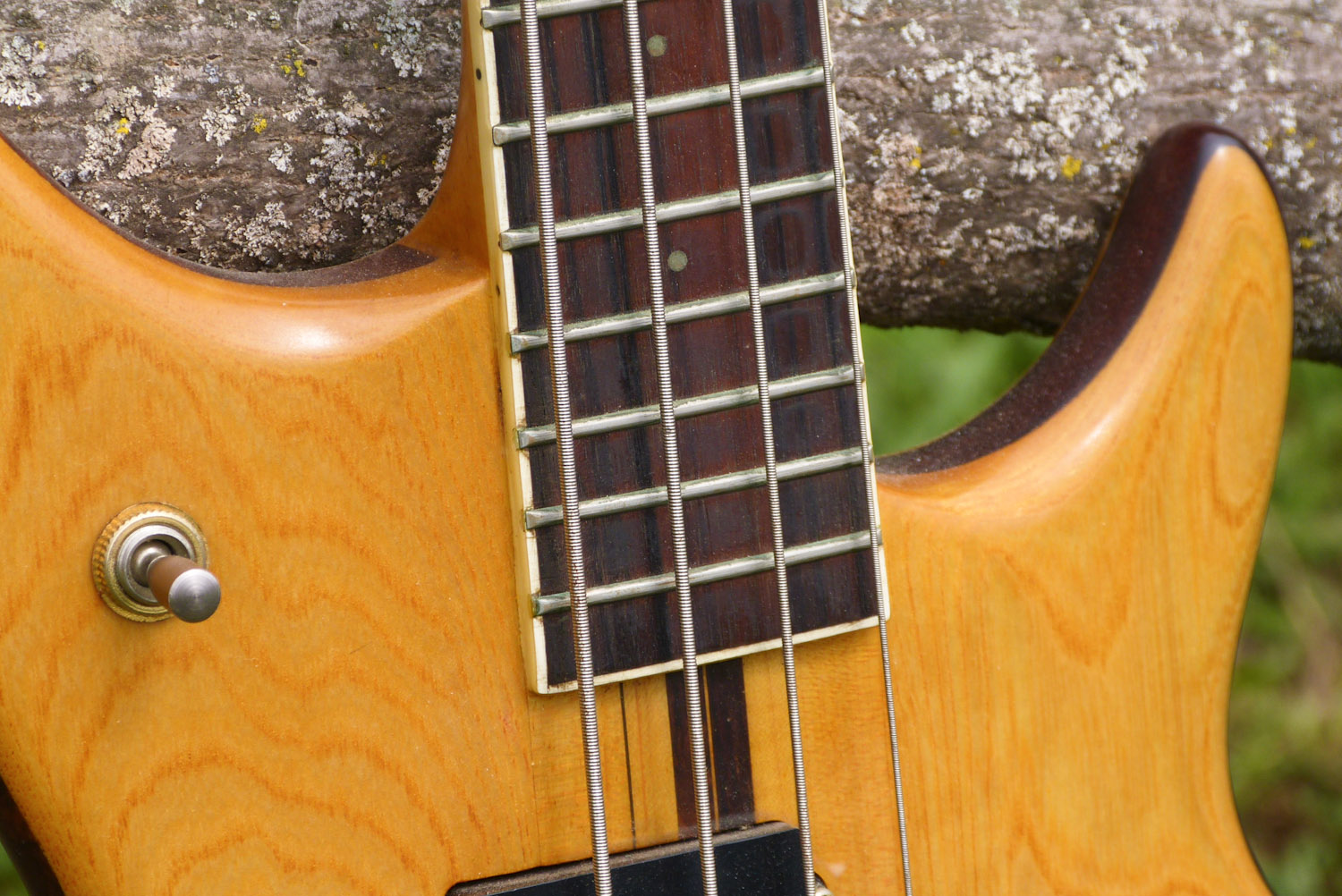 1981 Daion Mark XX-B Power Bass