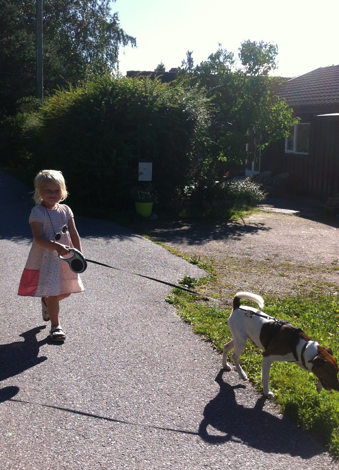 I´m Spot: To gode venner