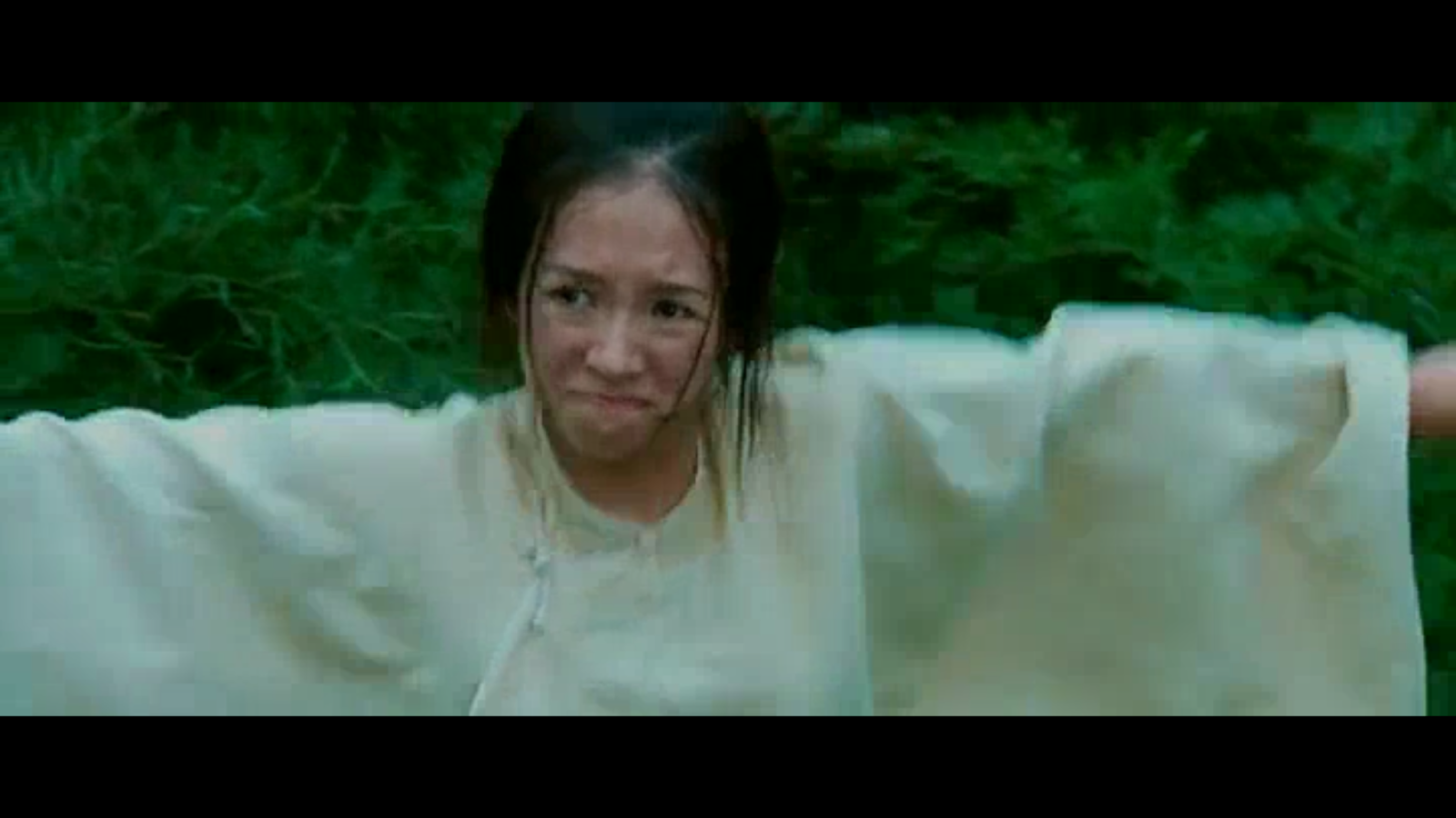 JamesH2O: Cinematography Analysis on Crouching Tiger, Hidden Dragon