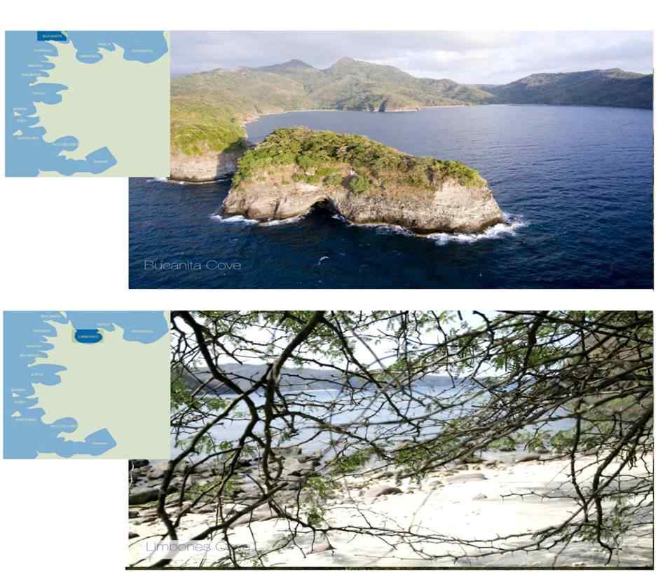 Hamilo Coast: Hamilo Coast Pico De Loro Batangas