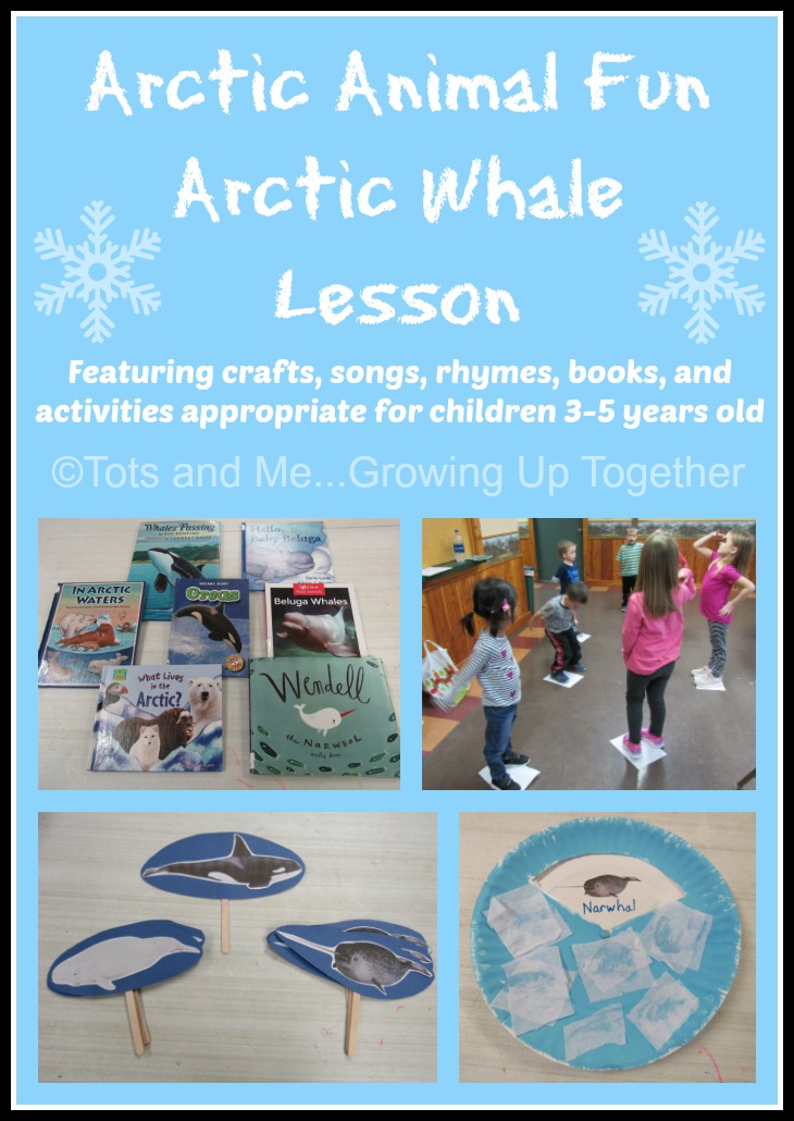 Tots and Me... Growing Up Together: Arctic Animal Fun: Arctic Whales Lesson