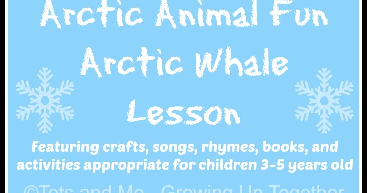 Tots and Me... Growing Up Together: Arctic Animal Fun: Arctic Whales Lesson