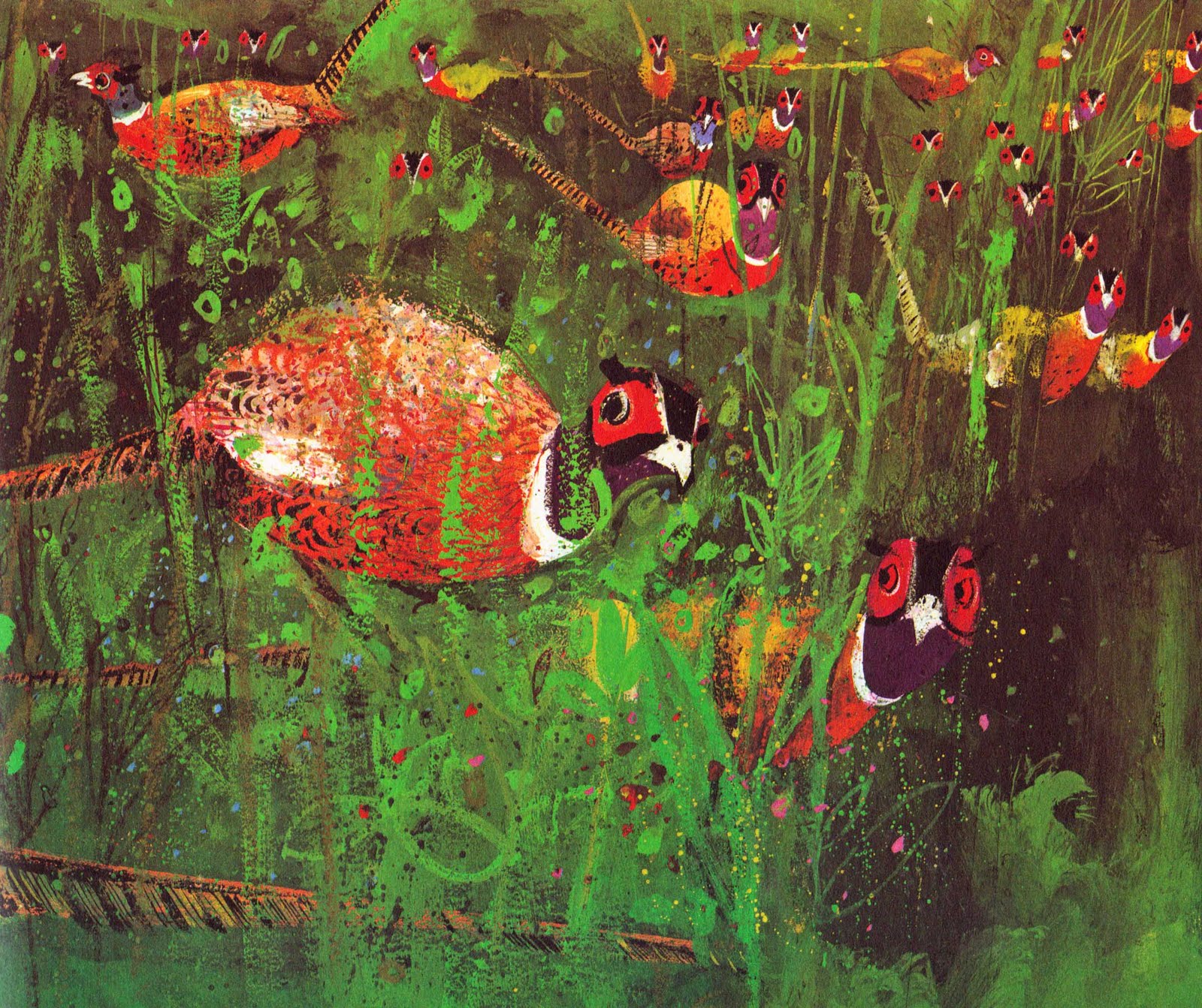 Vintage Kids' Books My Kid Loves: Brian Wildsmith's Birds