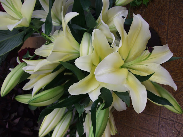 Floral Ambiance by Deborah Di Bella AIFD: Wildflower Workshop with René ...