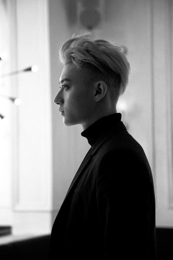 EXO release Tao's teaser images and clip for 'EXODUS' :: Daily K Pop ...
