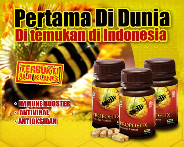 Fungsi Propolis