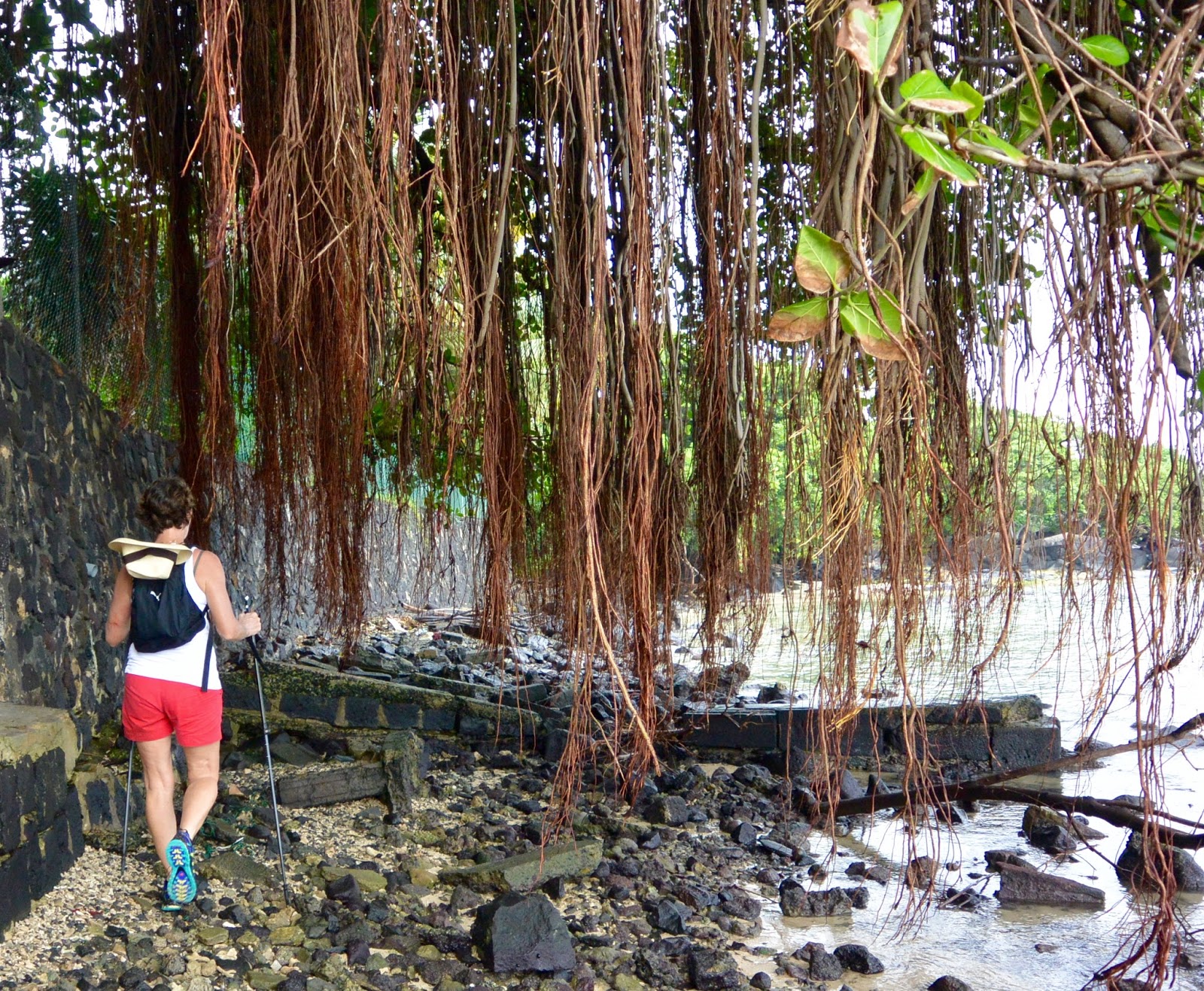Randonnée Balade à pied Ile Maurice: ETAPE 5 : POINTE AUX SABLES ...