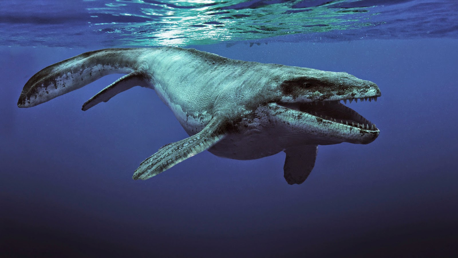 IlRegnodeiFossili: IL MOSASAURUS ERA UN ENORME RETTILE MARINO ...