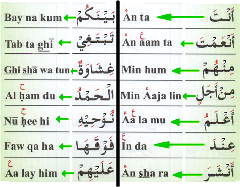 Learn Tajweed and Quraan Free: Example Of Step 3 Tanween + Step 4 Jazm ...