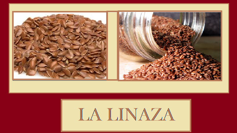 Develando la Salud: La Linaza