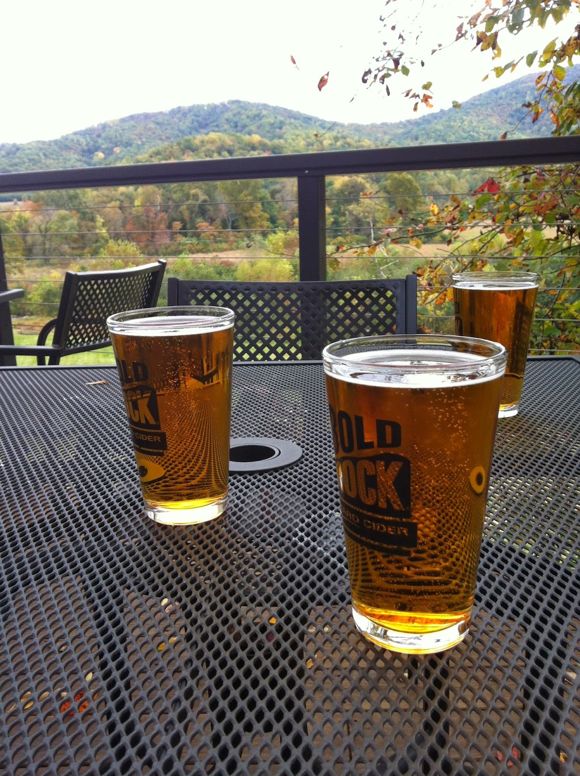 Musings Over a Barrel: Bold Rock Cidery