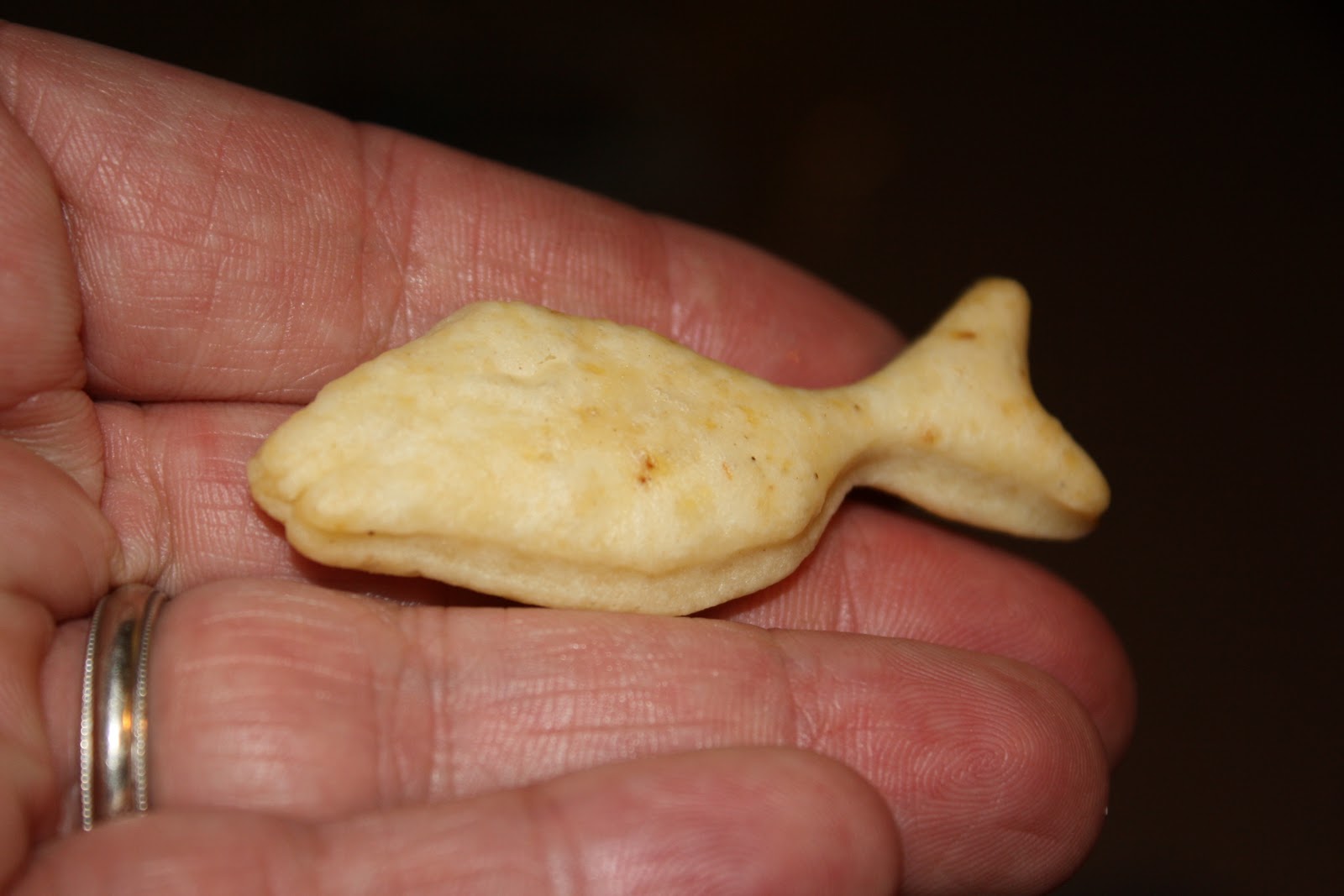 Catch-M-All: Goldfish Squared? or Goldfish Goldfish? Name this Recipe!
