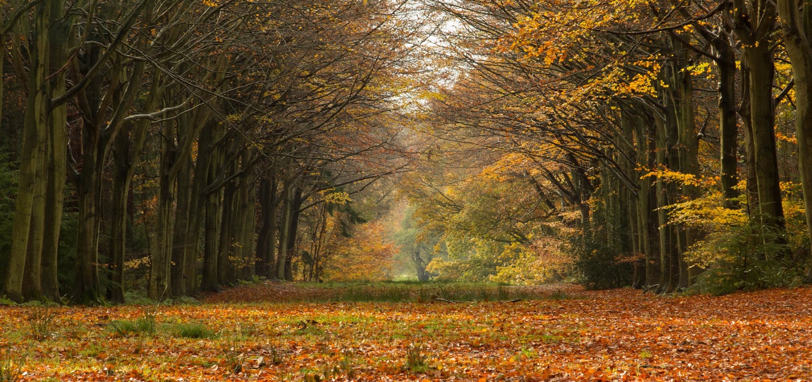 Escapes and Photography: Norfolk Trip Part 1 - A Rainy Autumn Day In ...