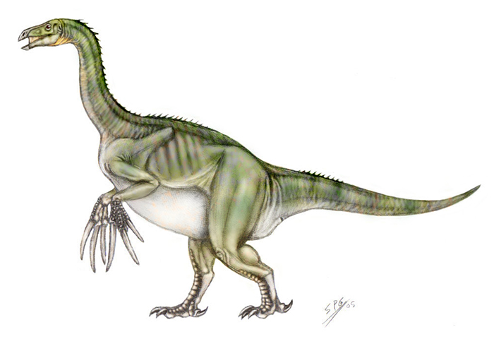 Mundo Pré-Histórico: Terizinossauro - as maiores garras do reino animal