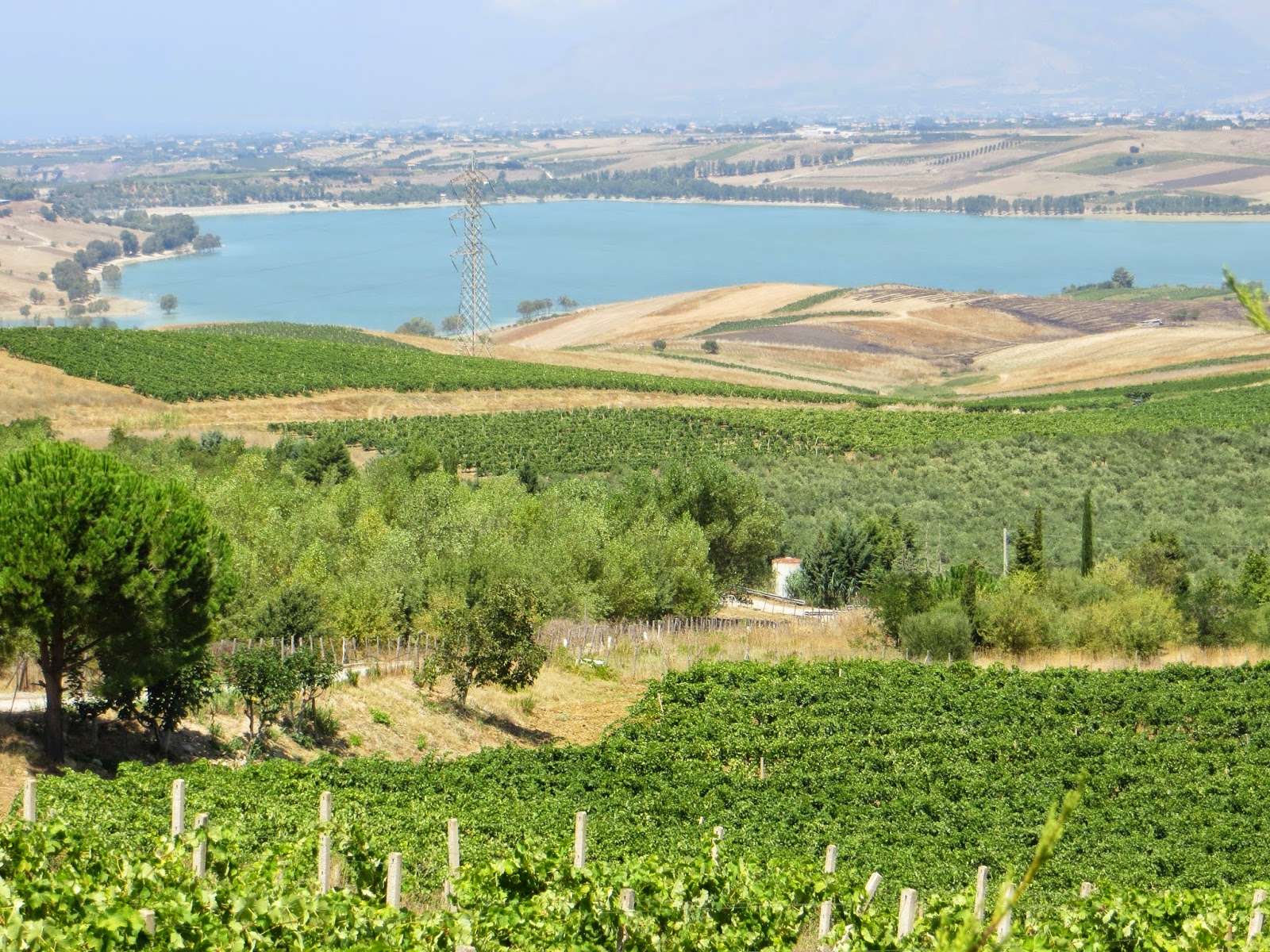 Reportage On Way: Lago Poma, Partinico (Pa)