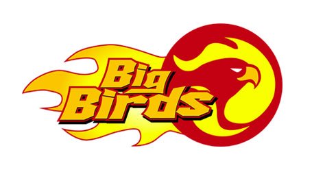 30 Creative Examples of Birds Inspired Logo Designs |Web Design Tutorss