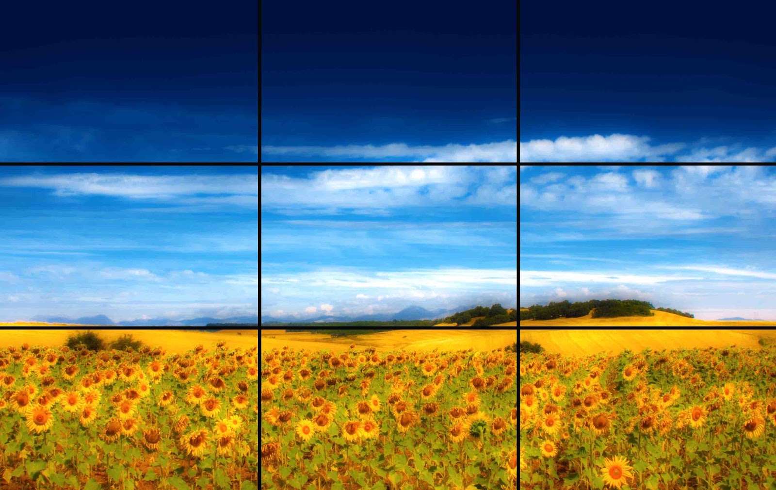 La Mirilla: Reglas de composición fotográfica fundamentales