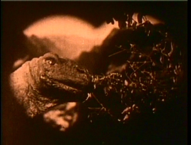 Shameless Pile of Stuff: Movie Review: The Lost World (1925)