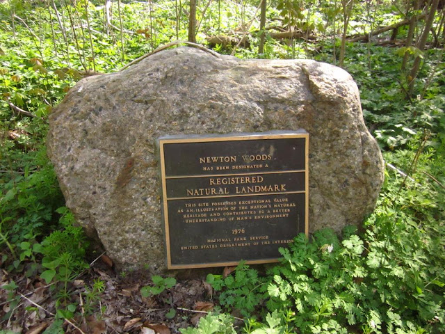 All about trees and plants: Southwest Michigan