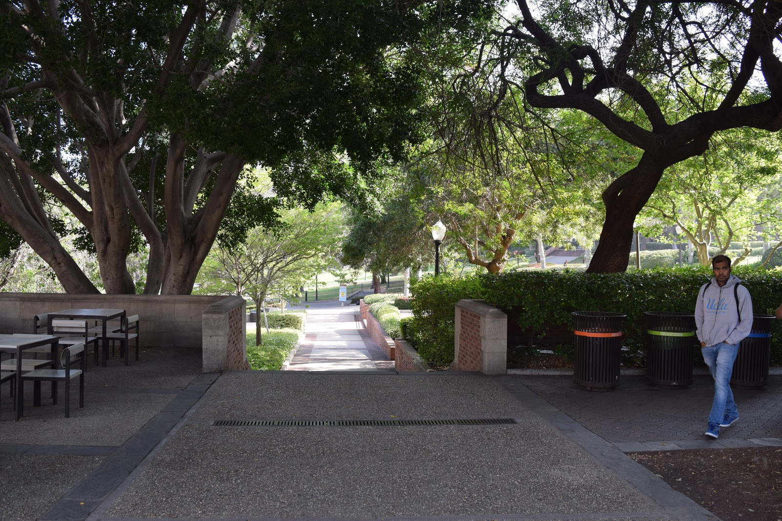 Travel for a Purpose: UCLA Campus around Election Walk Area