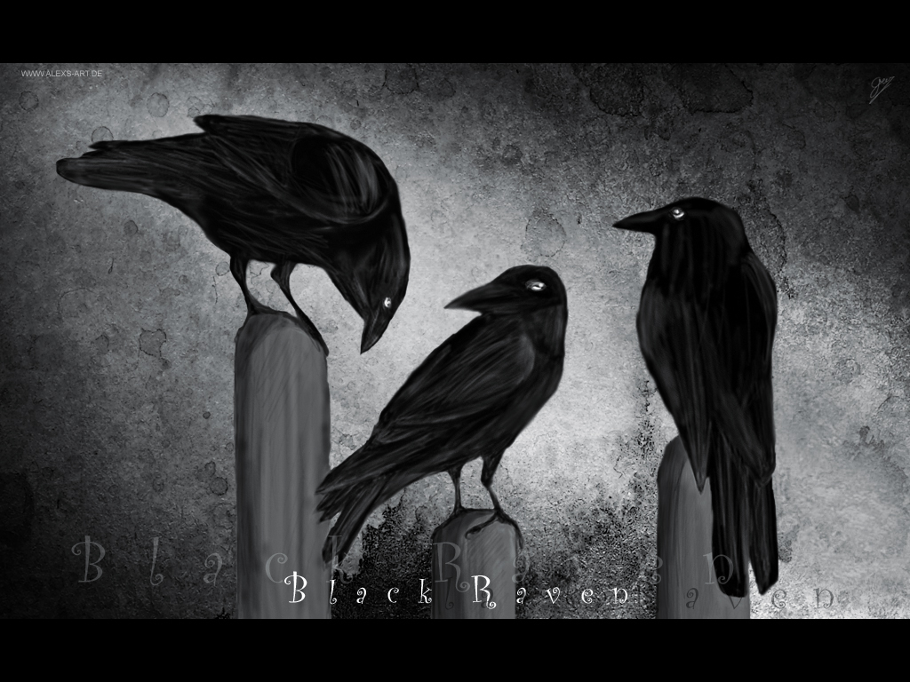 The Raven in the Chamber Door: janeiro 2012